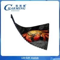 China 320×160×7.5MM Flexible Led Screen Module 270g Light P2 P2.5 P3 P4 Indoor Led Screen Module Event Led Screen for sale