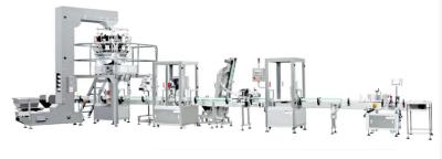 China 10-2000g Full Automatic Granule Bottle Packing Machine with 20-60 Bags/Min Speed and ±0.5-2g Precision for sale