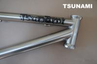 China 26er Chromolly Steel Dirtjump Frame Slope Style CR520 Titanium Chromed 12.5