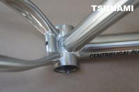 China 26er Chromolly Steel Dirtjump Frame Slope Style CR520 Titanium Chromed 12.5