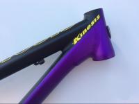 China 26er Aluminum Bike Frame BMX/ Dirt Jump/DJ Mtb FrameTD300 12.5