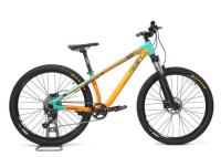 China Muscle Type Slope/Dirt Jump MTB frame SPF 26