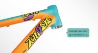 China Muscle Type Slope/Dirt Jump MTB frame SPF 26