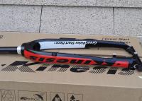China Lightweight 26/27.5/29er MTB Bicycle Rigid Fork FML30A Aluminum Alloy 9qr for sale