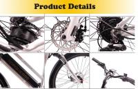 China 36V/250W Electric City Bike SS5 ebike with Lithium Battery for sale