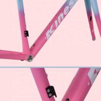 China Bicycle Parts 700x32c Aluminum Road Bike Frame with Large Straight Tube Headtube Pink-blue for sale