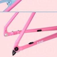 China Bicycle Parts 700x32c Aluminum Road Bike Frame with Large Straight Tube Headtube Pink-blue for sale