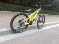 China TD420S Dirt Jump/BMXAluminum Bike Frame, DJ/Hardtail Mountain Bike Mtb 26er/27.5er for sale