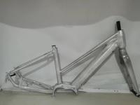 China China OEM Shimano Ep8  Mid-Drive Electric bike Frame Women Electric Bike EP6 for sale