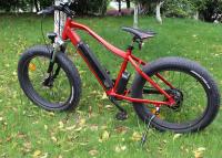 China 350w/36V Electric Bike Ebike Mountain Bike Fat Bike Snow Bike Rear hub motor for sale
