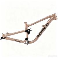 China 20er Kids xc/trail Full Suspension Mountain Bike Frame for sale