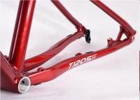 China 27.5