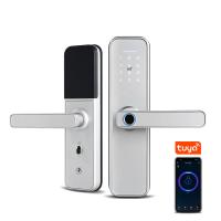 China Waterproof Smart Tuya APP Security WiFi Fingerprint Home Outdoor Gate Card Code Door Lock for sale