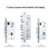 China Biometric Fingerprint and Password IC Card Smart Door Lock with TUYA WIFI/TT Lock APP Viewer Vision Digital with Camera for sale