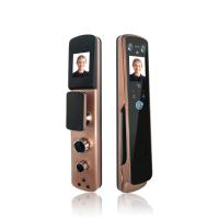 China Face/Fingerprint/Palm/Card/Password Recognition Verification smart Wireless Door Lock with TUYA APP for sale