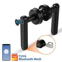 China Security Wifi Wireless Door Lock TUYA APP Access Smart Keyless Digital Electronic with Fingerprint Handle Lock for sale