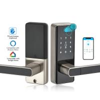 China Biometric Fingerprint Remote unlocking digits door lock and smart wireless door lock with tuya and TTLock for sale