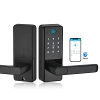 China Biometric Fingerprint Remote unlocking digits door lock and smart wireless door lock with tuya and TTLock for sale
