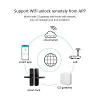 China Low Voltage Alarm/Remote Control APP/Key Fingerprint RFID Card Password WIFI Wireless Remote Control Smart Door Lock for sale