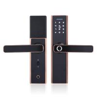 China Waterproof Lock and Fingerprint Door Lock for Hotel Dustproof Built-in Doorbell Digital Wireless Door Lock with TTlock for sale