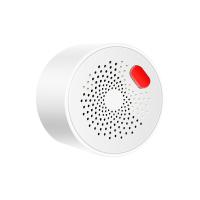 China GR-GS400T-1 WIFI TUYA Gas Detector for sale