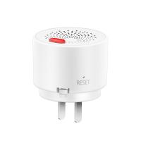China GR-GS400T-1 WIFI TUYA Gas Detector for sale