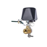China GR-WV400T-1 WIFI TUYA Motorized Valve for sale