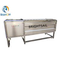 China Industrial Bubble Ginger Washing Machine 3500mm Length 750kg/h Capacity for Fruits Vegetables for sale