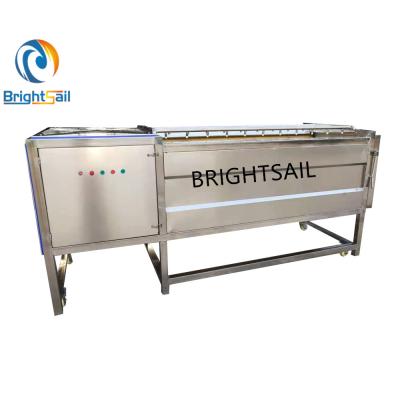 China Industrial Bubble Ginger Washing Machine 3500mm Length 750kg/h Capacity for Fruits Vegetables for sale