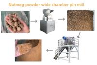 China Mustard Seed Grinding Machine Pin Mill Powder Mill for Oil Seeds and Spices for sale