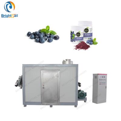 China BS-200 & BS-500 Cryogenic Fruit Powder Milling Machine with Liquid Nitrogen Cooling - 10-700 Mesh Fineness, 30-1000 kg/h Capacity for sale