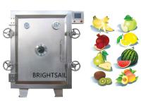 China Industrial Fruit Vegetable Vacuum Tray Drying Machine 50kg Batch Low Temperature for sale