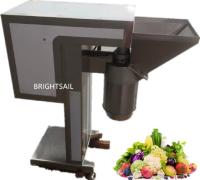 China 800-1000kg/h SUS304/420 Puree Making Machine with 10-14 Blades for Fruit and Vegetable Processing for sale