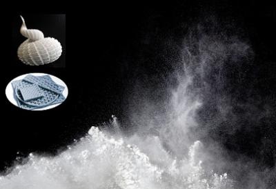 China Sodium Lauryl Sulfate Powder SLS 0.71 gcc Loose Density 200℃ Softening Point for SLS 3D Printing for sale