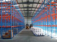China Multiple Level Drive In Warehouse Racking Storage Solution For Cold Chain Logistics for sale