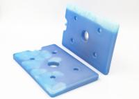 China Pantone Color Plastic Freezer Cold Packs 1000ml For Frozen Food for sale