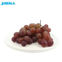 China Reusable Ice Cooler Box For Negative Temperature Pcm Applications Pantone Color for sale