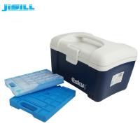 China MSDS Approved Cooler Freezer Packs 250MM Length For Cold Chain Transport for sale