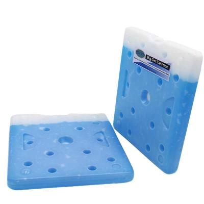 China Custom Logo Large Reusable Food Frozen Ice Cooler Brick Cpsia Listed for sale