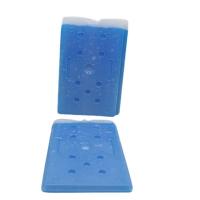 China Large Portable Reusable Frozen Ice Plate For Medicine Logistics Ice Bag for sale