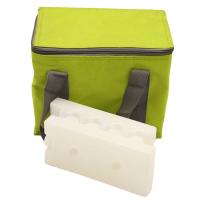 China Freezer milk cooler brick plastic ice box keeping fresh with FDA certificate for sale