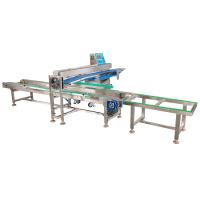 China WS500 Intelligent Full Automatic Tray Arranging Machine 220V 50HZ with 200-500 Trays/Hour Capacity for sale
