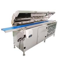 China Small Chocolate Enrober Machine 8-60KG Capacity 220V Electric Heating for Dry Fruit Coating for sale