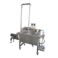 China PAPA PE15 Chocolate Enrober Machine with 15 kg/h Output and 220V Power for Biscuits, Cookies & Candy for sale