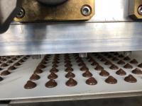China Automated Chocolate Chip Production Line 500-1500 kg/h Capacity with 380V Power and 5-20mm Chip Size for sale