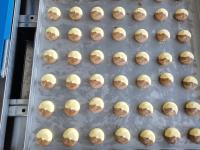 China P188 220V Automatic Two-Color Cookie Encrusting Machine 40-120pcs/min 20-250g Capacity for sale