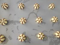 China P188 220V Automatic Two-Color Cookie Encrusting Machine 40-120pcs/min 20-250g Capacity for sale