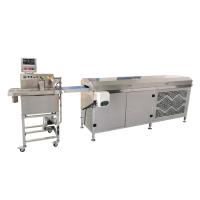China Automatic Ice Cream Mochi Chocolate Coating Machine | 3000 pieces/hour Capacity | 0.5-2.0mm Adjustable Thickness for sale