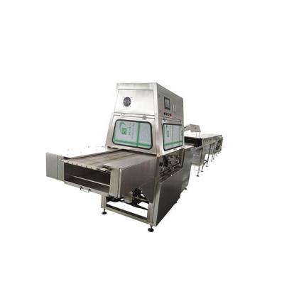 China 400mm Chocolate Enrober Machine 200-300 kg/h 220V/380V for Wafer Cookies Biscuits for sale