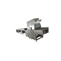 China 400mm Chocolate Enrober Machine 200-300 kg/h 220V/380V for Wafer Cookies Biscuits for sale